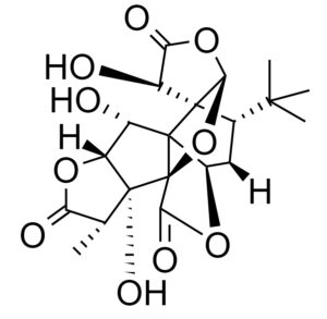 ginkgolide – per conoscere ciò che ci nutre